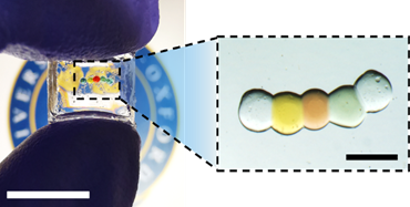 New ‘droplet battery’ could pave the way for miniature bio-integrated ...