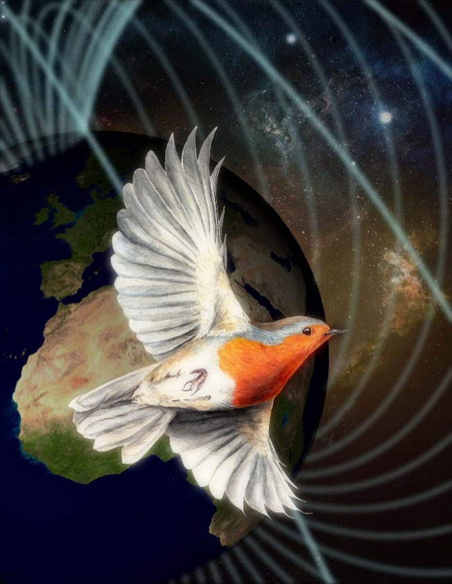 International collaboration sheds light on the mechanism of magnetic ...