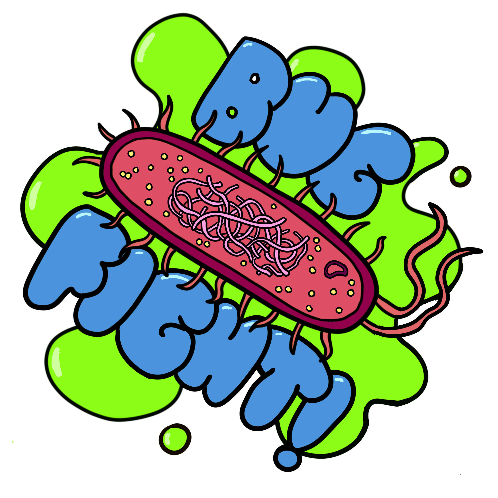 Bug Fight! | Department of Chemistry