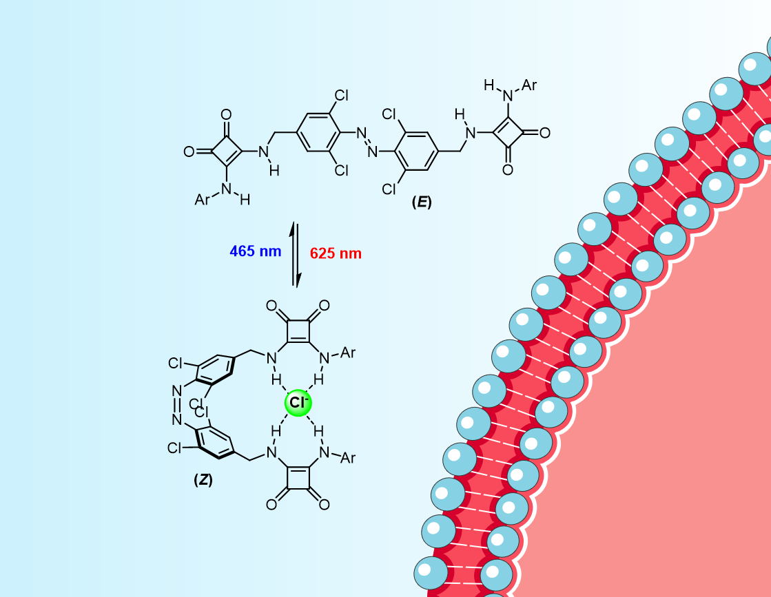 Controlling cell membrane transport with light | Department of Chemistry
