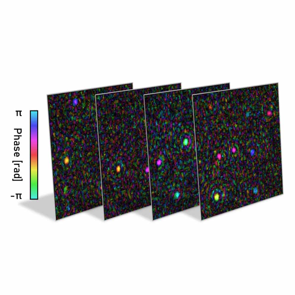 Single-molecule light scattering using optical holography | Department ...