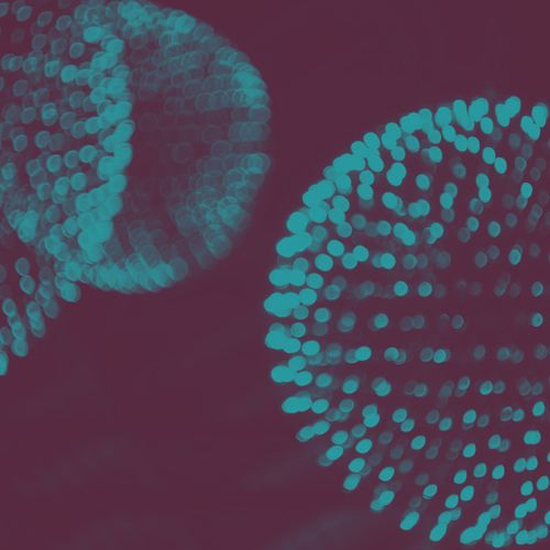 George Fleet | Department of Chemistry