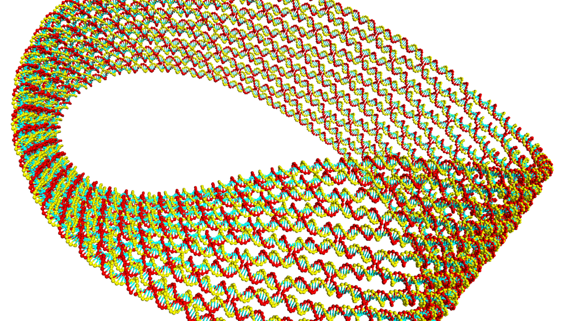 Folding (and then stapling) DNA Origami | Department of Chemistry