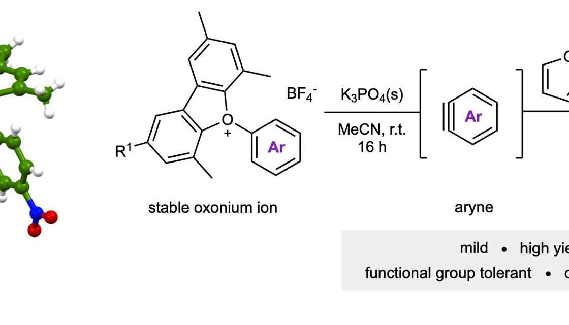 Arynes from triaryloxonium ions | Department of Chemistry