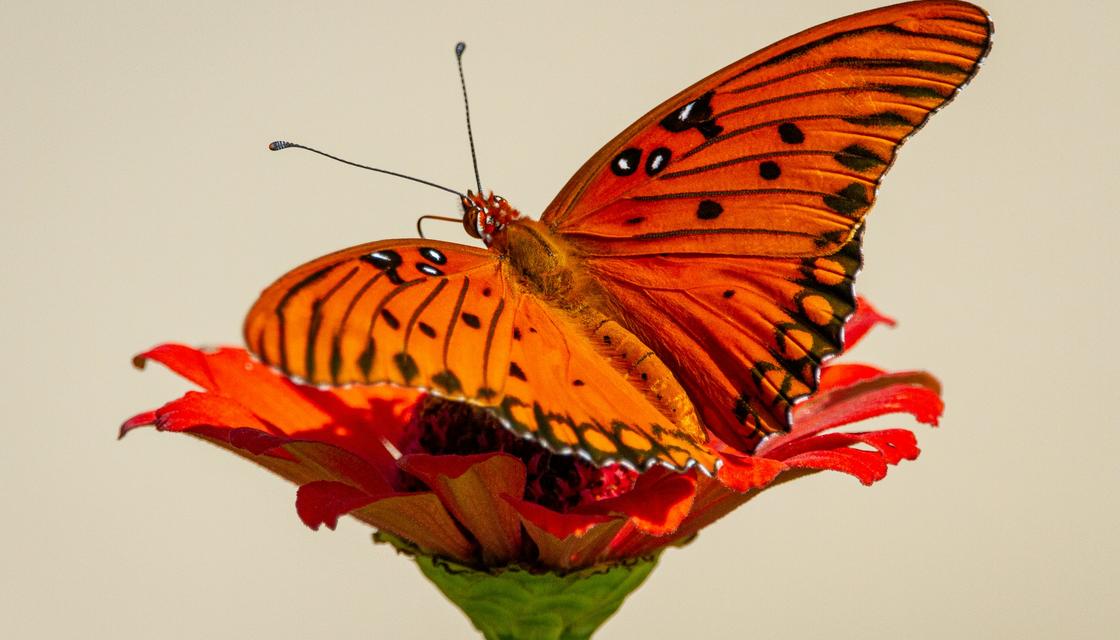 Chemistry in the Community | Department of Chemistry