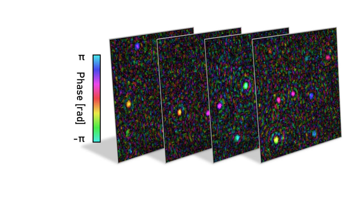 Single-molecule light scattering using optical holography | Department ...