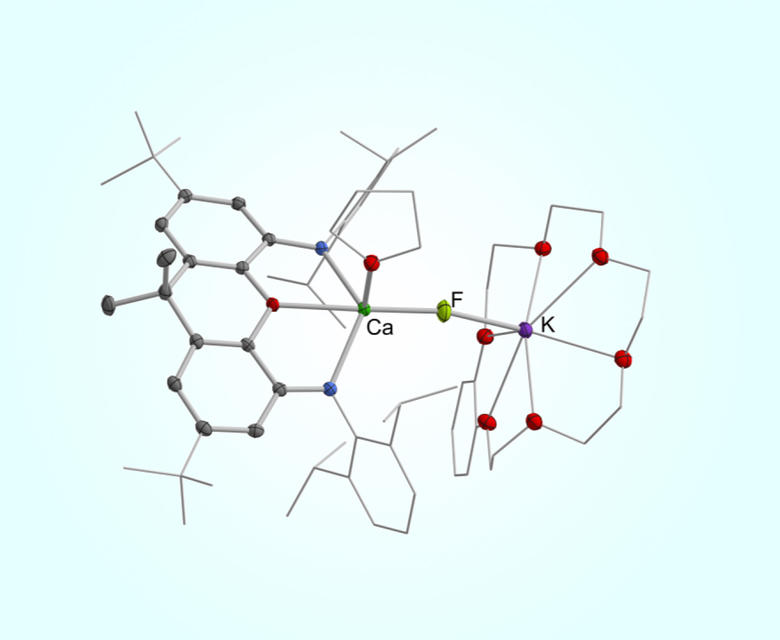 Enabling nucleophilic reactivity in molecular calcium fluoride ...