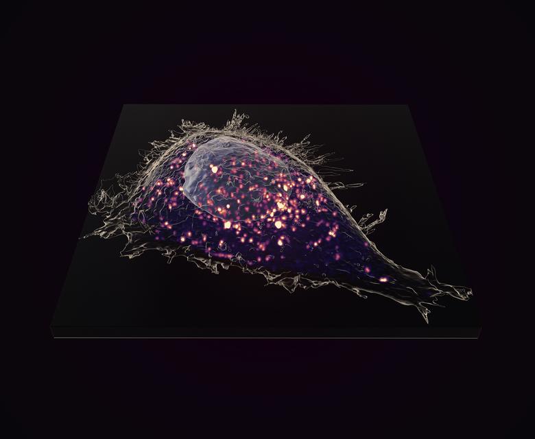 Advancing cap-independent mRNA translation | Department of Chemistry