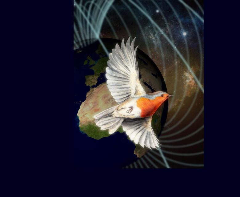 Peter Hore elected Fellow of the Royal Society | Department of Chemistry