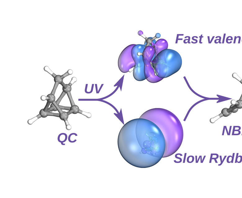 Ultrafast dynamics in a molecular photoswitch | Department of Chemistry