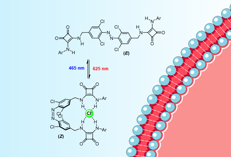 Controlling cell membrane transport with light | Department of Chemistry