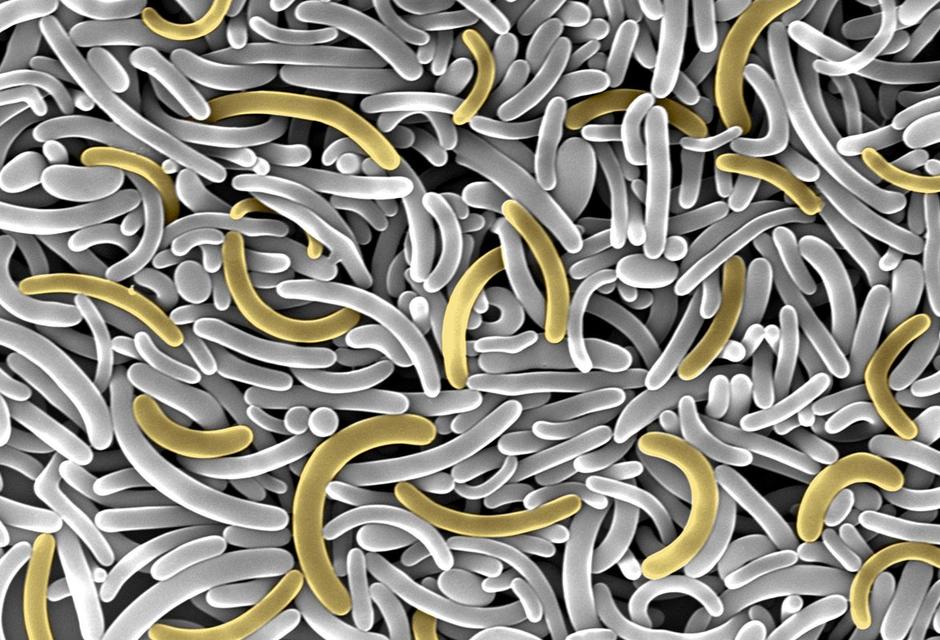 Advanced Functional Materials and Interfaces | Department of Chemistry