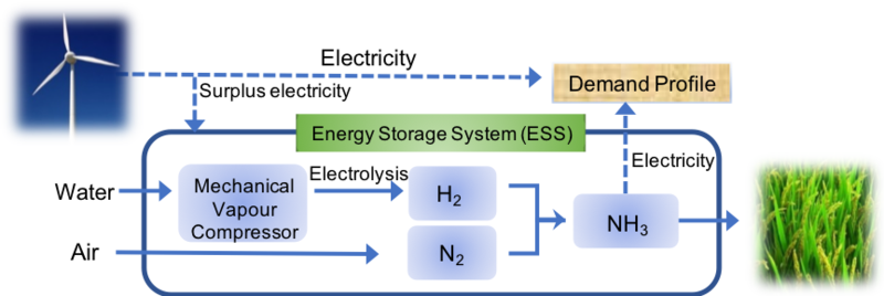 Green Ammonia: Siemens and Professor Edman Tsang | Department of Chemistry
