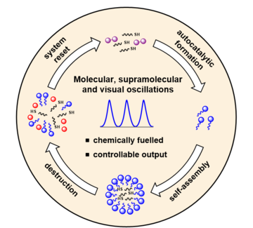 Biomimetic oscillations in a self-replicating chemical system ...